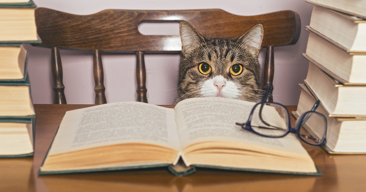 Weekend reading